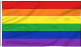 10 Best Pride Flags 2025 in the US | There's One Clear Winner | BestReviews.guide