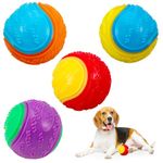 10 Best Pool Ball For Dogs 2024 in the UK | There's One Clear Winner ...