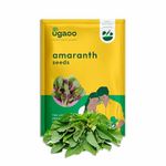 10 Best Oni Seeds 2025 in the IN | There's One Clear Winner ...