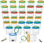 10 Best Bug Catchers For Kids 2025 in the US | There's One Clear Winner ...