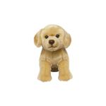 10 Best Labrador Retriever Toys 2024 in the UK | Best Black Friday ...
