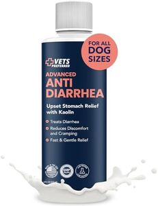 10 Best Gas Medicine For Dogs 2025 in the US | There's One Clear Winner ...